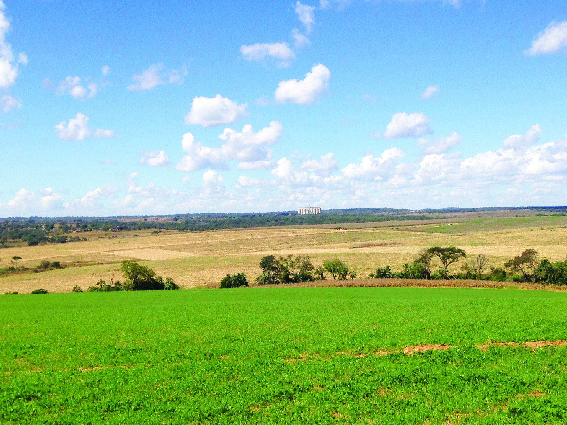 Mash West Agri-Tour - ZiMUNDA Farming Magazine | Showcasing the best ...
