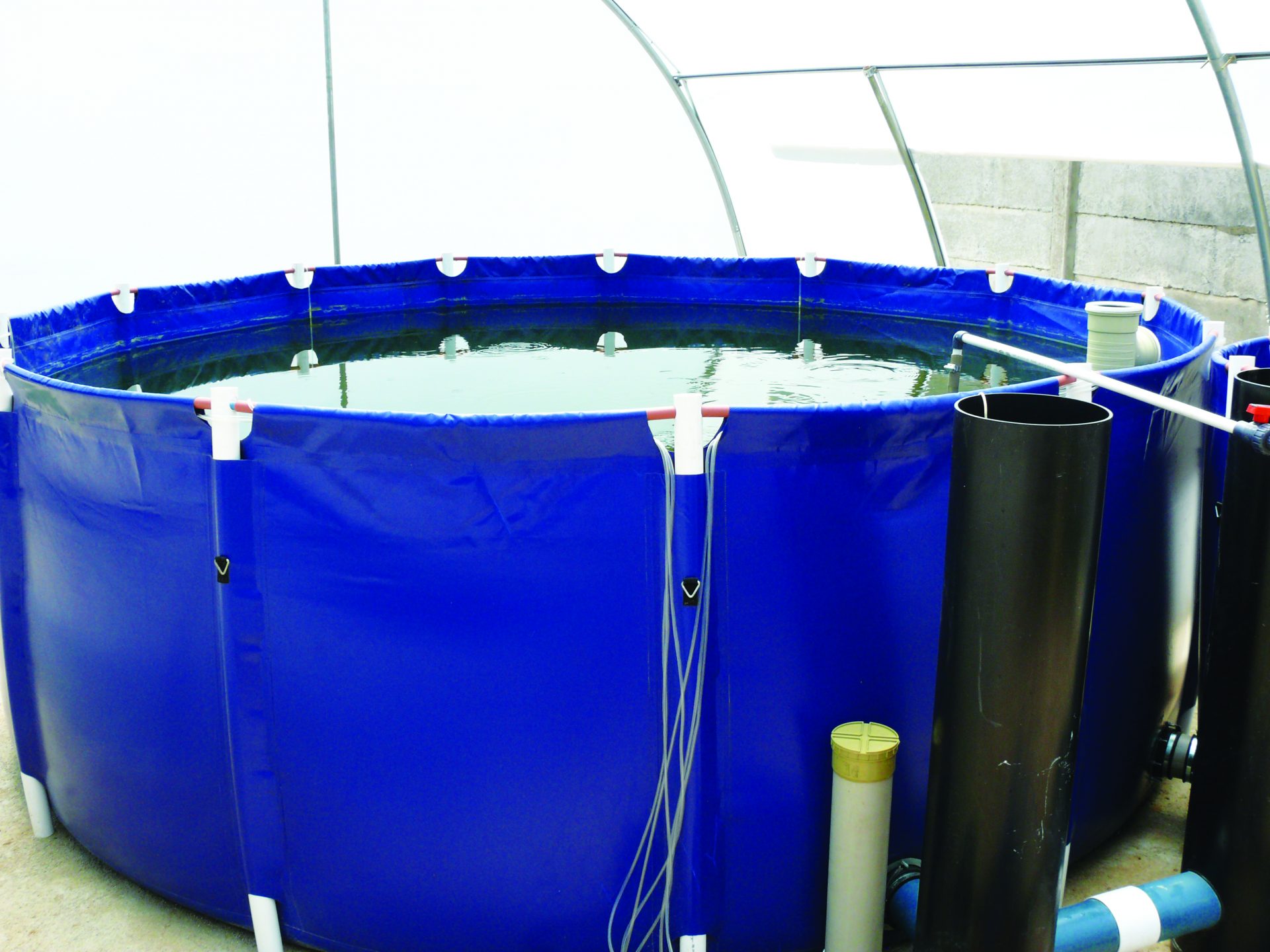 The Fish in a Tank System - ZiMUNDA Farming Magazine | Showcasing the ...