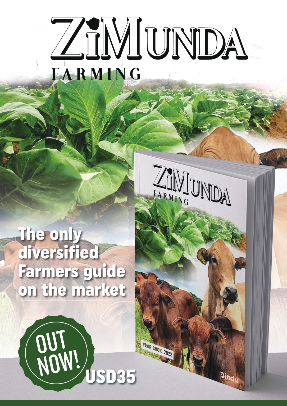 Home - ZiMUNDA Farming Magazine | Showcasing the best farming ...